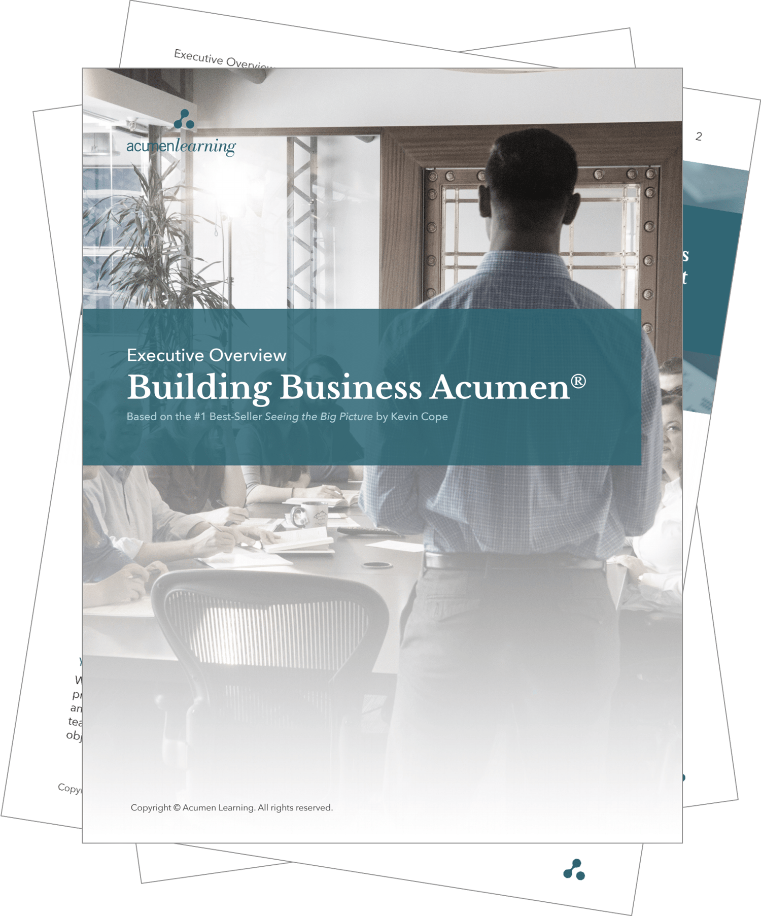 Building Business Acumen Executive Overview